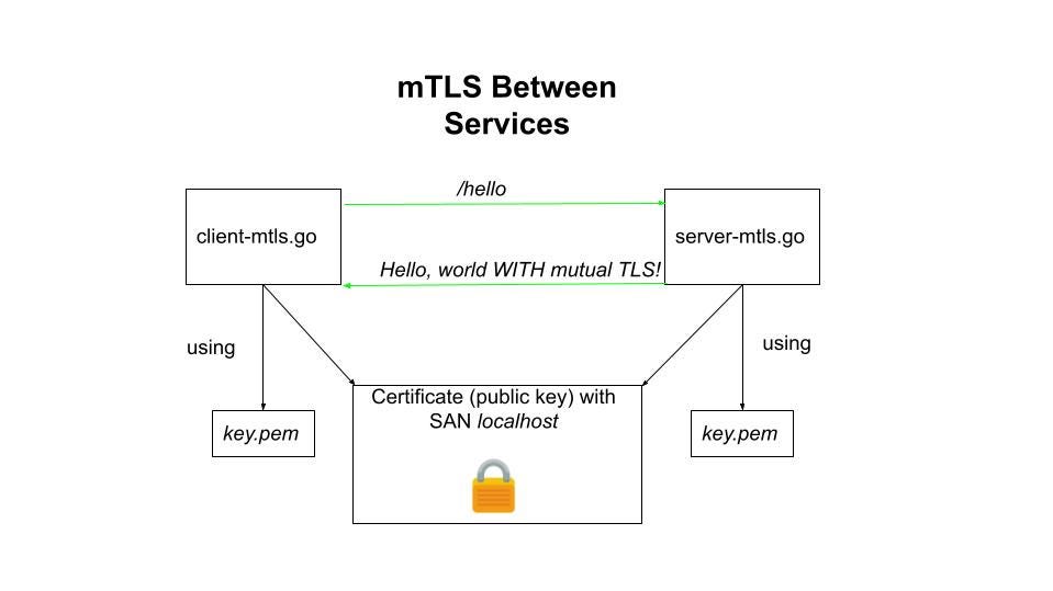 Certificate Automation in Docker Environments - Nuface Blog
